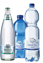 Fonti Pineta Acqua Minerale S.p.A.